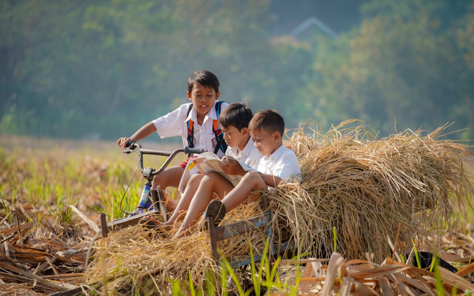 Tes PISA 2022: Hasil Apa yang Bisa Kita Harapkan? - REFO